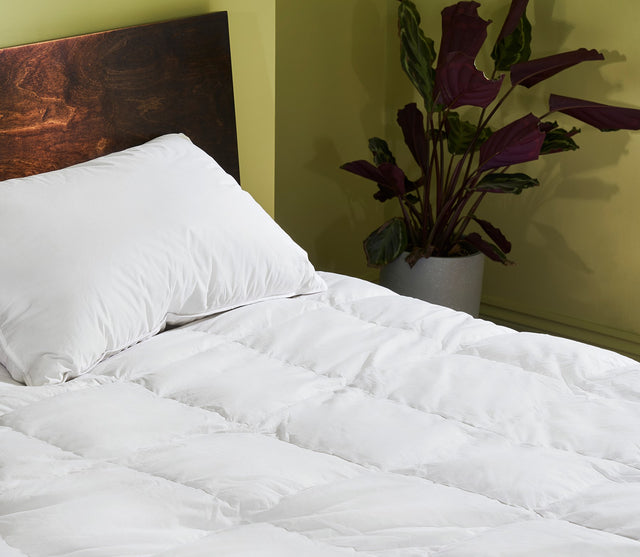 The Home of Luxury Hotel-Quality Bedding & Towels | Tielle Love Luxury ...